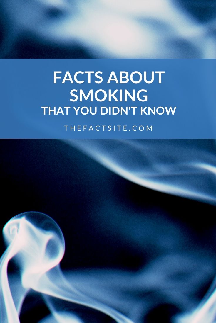 Facts About Smoking That You Didn't Know - The Fact Site
