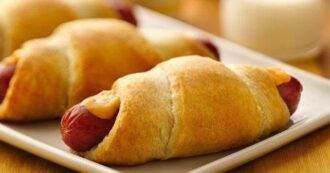 National Pigs-In-A-Blanket Day | April 24 - The Fact Site