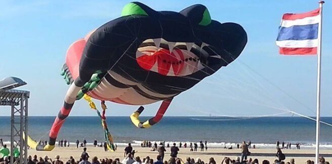 Fun Facts About Kites & Kite Flying - The Fact Site