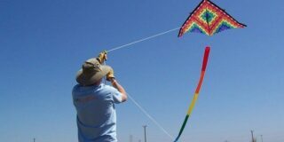 14 Fun Facts About Fireflies - The Fact Site