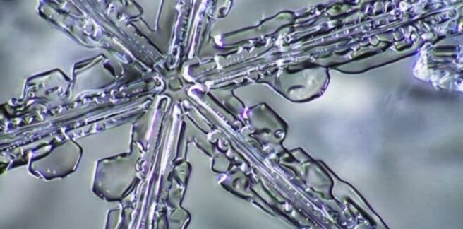 Cool Facts About Snowflakes - The Fact Site