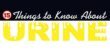 15 Facts About Urine InfoGraphic - The Fact Site