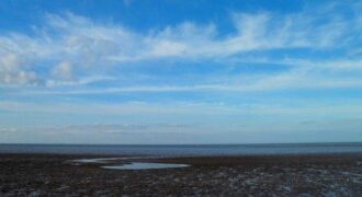 24 Interesting Facts About The Color Blue - The Fact Site