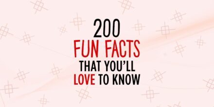 10 Fun Facts About The Number 8 - The Fact Site