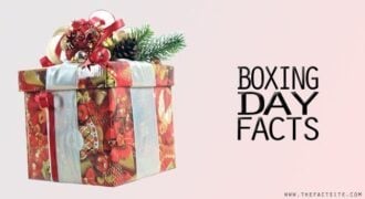 13 Fast Facts About Boxing Day - The Fact Site