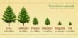 Christmas Tree Facts and Statistics InfoGraphic - The Fact Site