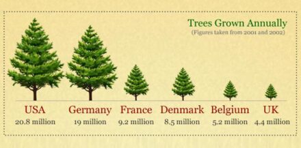 Christmas Tree Facts and Statistics InfoGraphic - The Fact Site