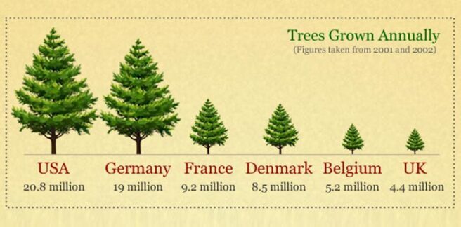 Christmas Tree Facts and Statistics InfoGraphic - The Fact Site