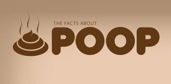 The Stinky Facts About Poop InfoGraphic - The Fact Site