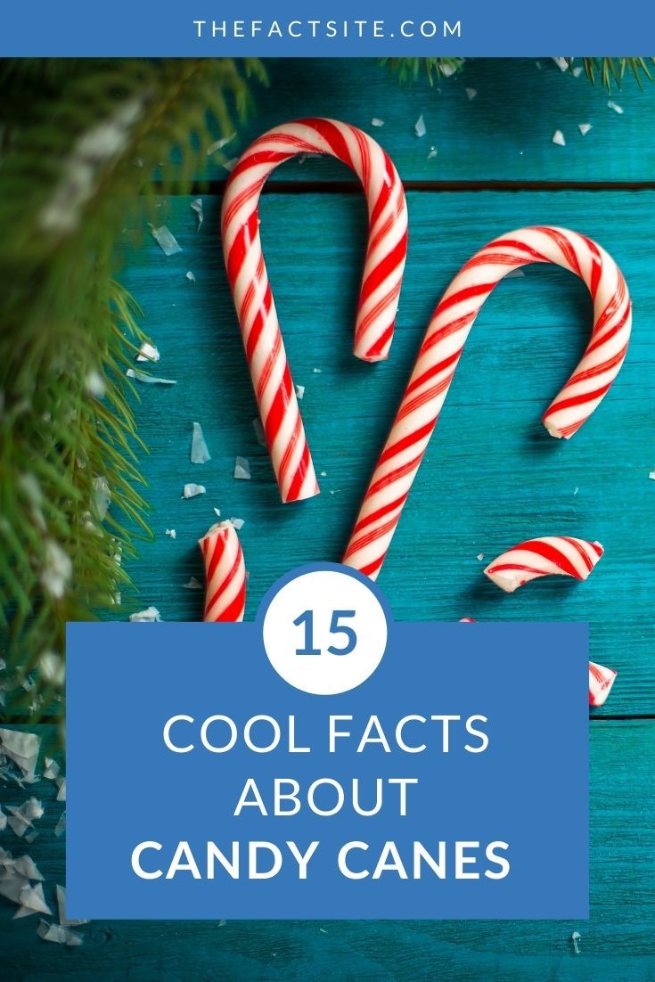 15 Cool Facts About Candy Canes The Fact Site 15 Cool Facts About Candy Canes The Fact Site