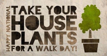 Take Your Houseplants for a Walk Day | July 27 - The Fact Site