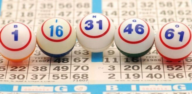 Fun Bingo Facts and Titbits - The Fact Site