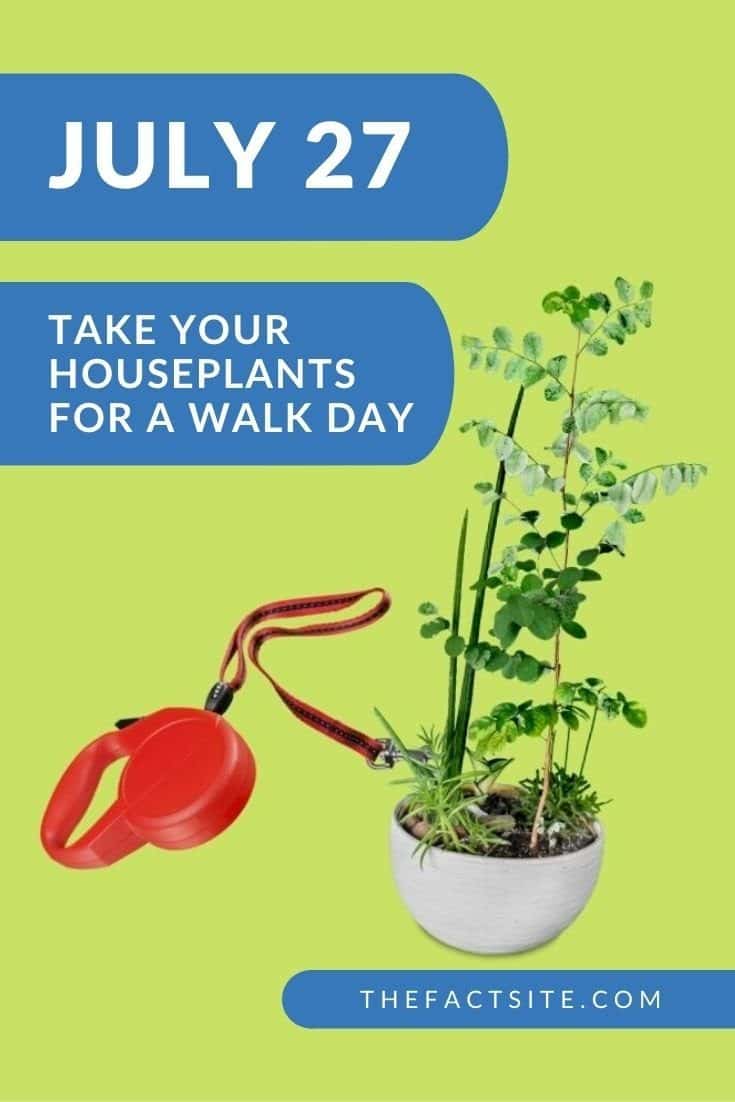 Take Your Houseplants for a Walk Day | July 27 - The Fact Site