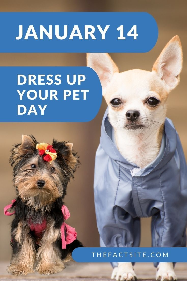 Dress Up Your Pet Day | January 14 - The Fact Site