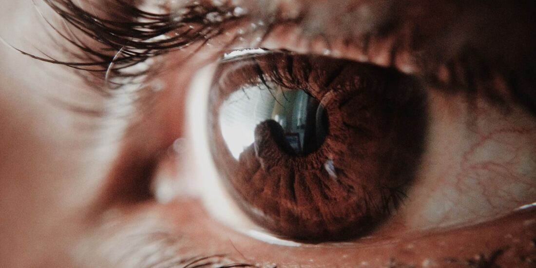 A Few Brief Facts About Blinking - The Fact Site