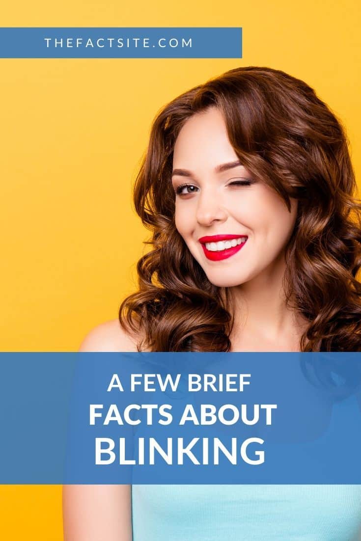 A Few Brief Facts About Blinking - The Fact Site