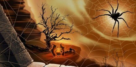 8 Creepy Facts About Spiders - The Fact Site