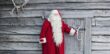 9 Interesting Facts About Santa's Reindeer - The Fact Site