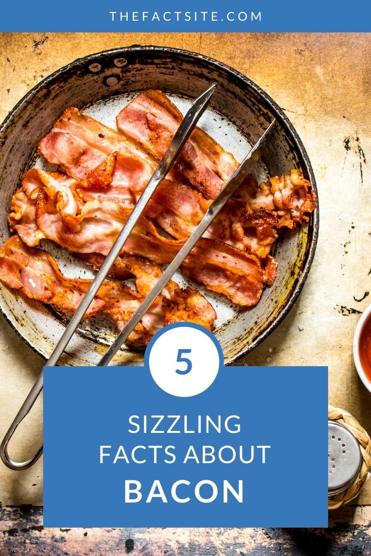 5 Sizzling Bacon Facts - The Fact Site