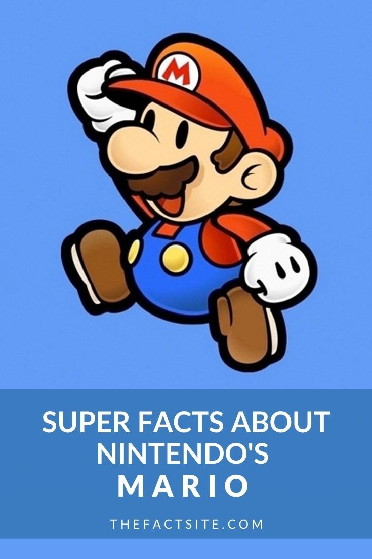7 Super Facts About Nintendo's Mario - The Fact Site