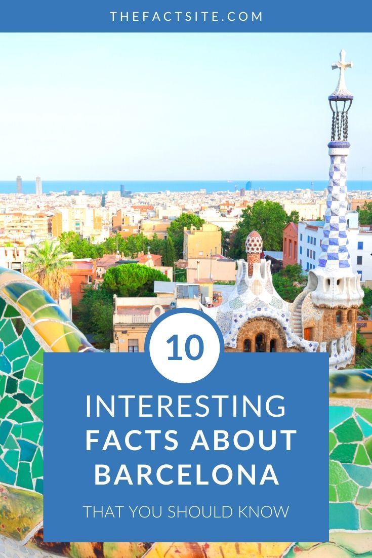 10 Interesting Facts You Should Know About Barcelona The Fact Site 10-interesting-facts-you-should-know-about-barcelona-the-fact-site