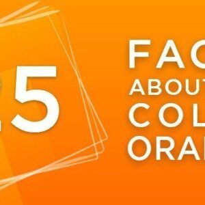 30 Wild Facts About the Color Red - The Fact Site