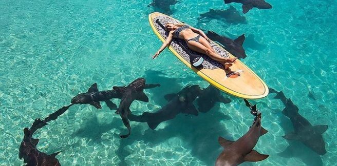 July | Special Days of the Year - The Fact Site