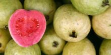 15 Fruity Facts About Guavas - The Fact Site