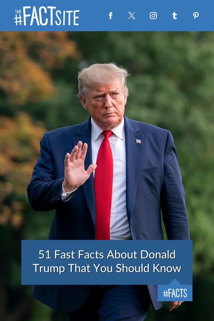 51 Fast Facts About Donald Trump That You Should Know - The Fact Site