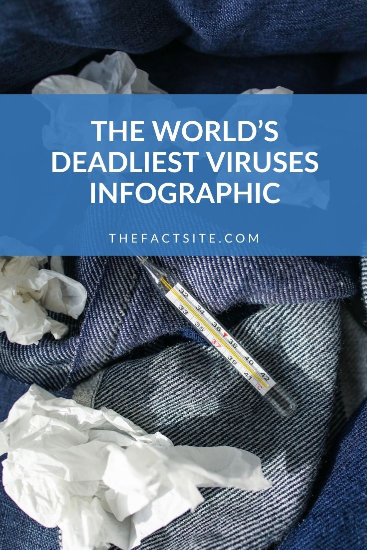 The World's Deadliest Viruses Infographic - The Fact Site