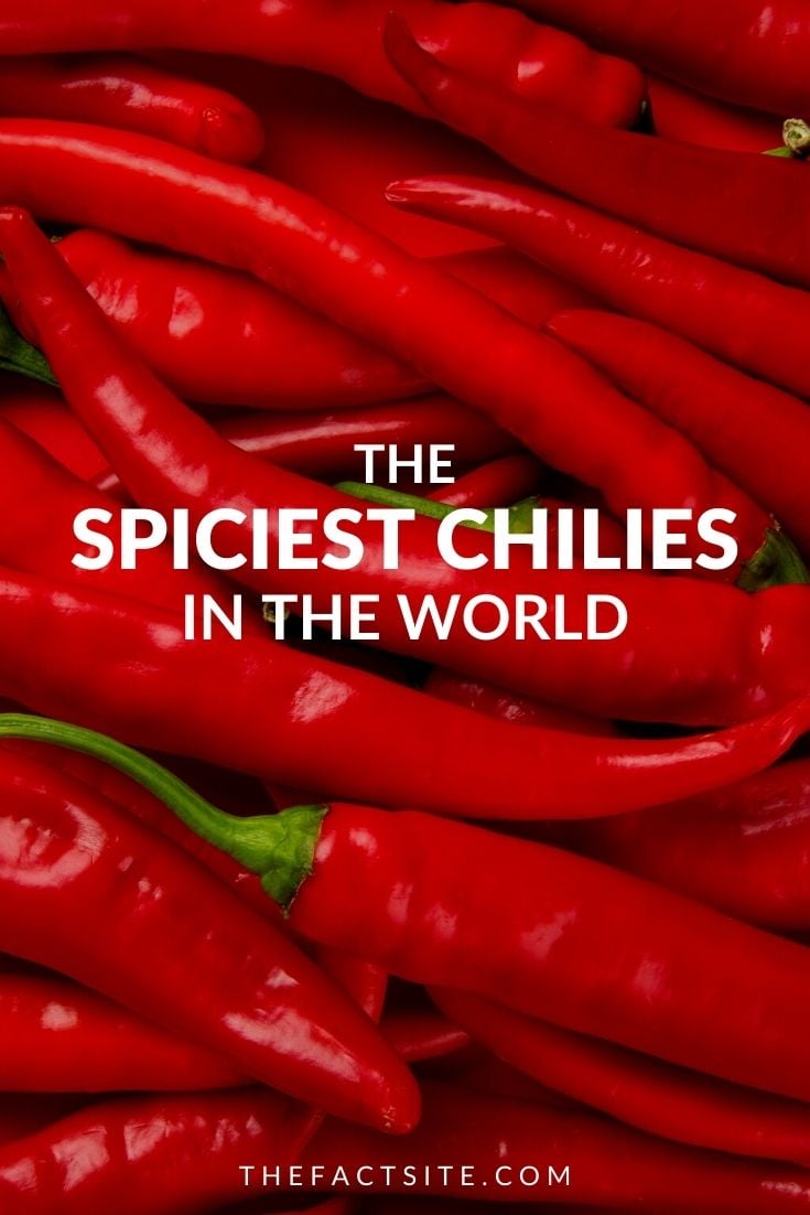 The Spiciest Chilies In The World - The Fact Site
