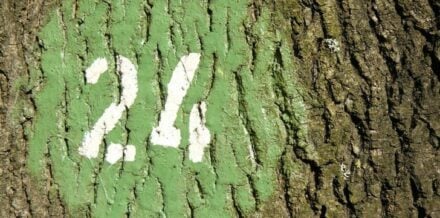 Twenty-Four Facts About The Number 24 - The Fact Site