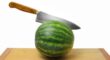 5 Mouth-Watering Facts About Watermelons - The Fact Site