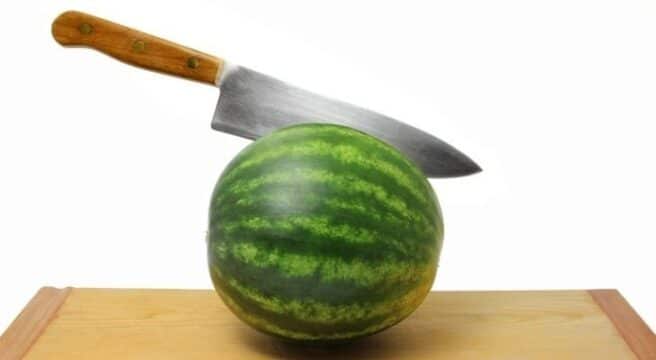 5 Mouth-Watering Facts About Watermelons - The Fact Site