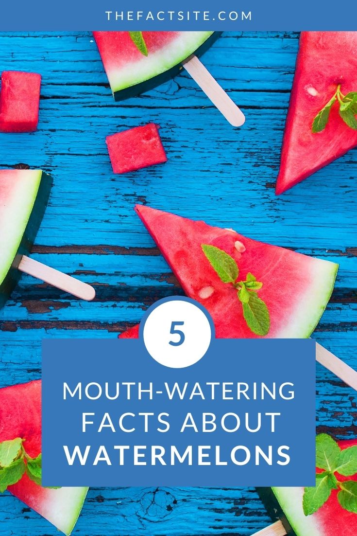 5 Mouth-Watering Facts About Watermelons - The Fact Site