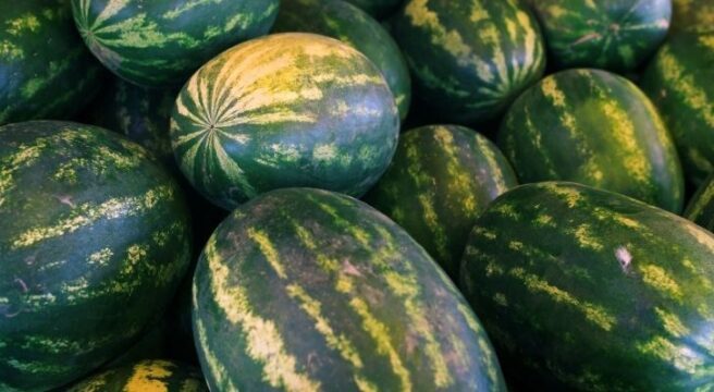 5 Mouth-Watering Facts About Watermelons - The Fact Site