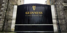 30 Guinness Facts That'll Leave You Thirsty For More! - The Fact Site