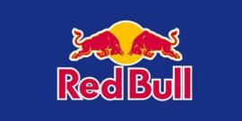 19 Facts About Red Bull That'll Actually Give You Wings! - The Fact Site