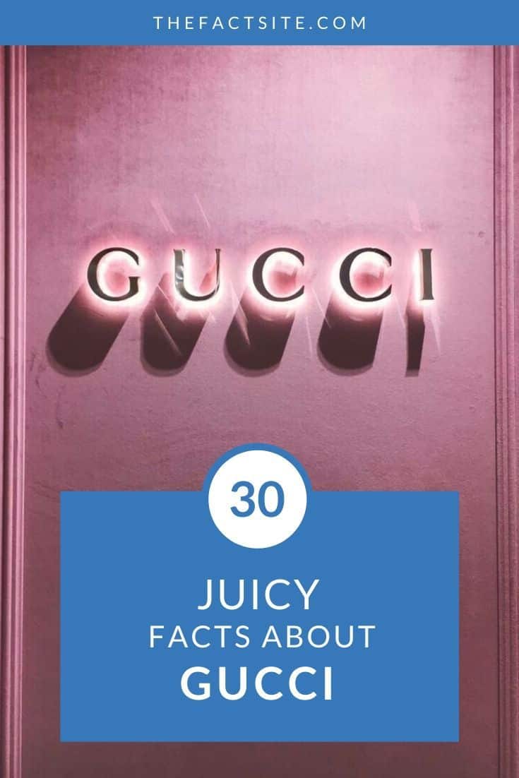 30 Juicy Facts About Gucci - The Fact Site