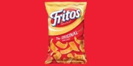 10 Surprising Foods You Didn't Know Are Vegan - The Fact Site