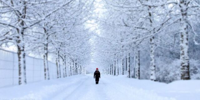 30 Chilling Facts About Snow - The Fact Site