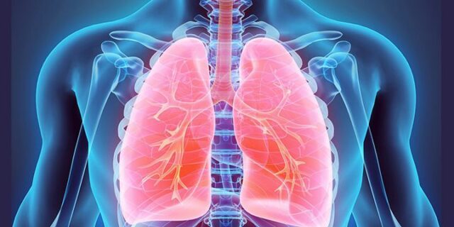 25 Surprising Facts About Your Lungs - The Fact Site
