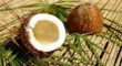 24 Captivating Facts About Coconuts - The Fact Site