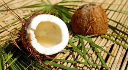 24 Captivating Facts About Coconuts - The Fact Site