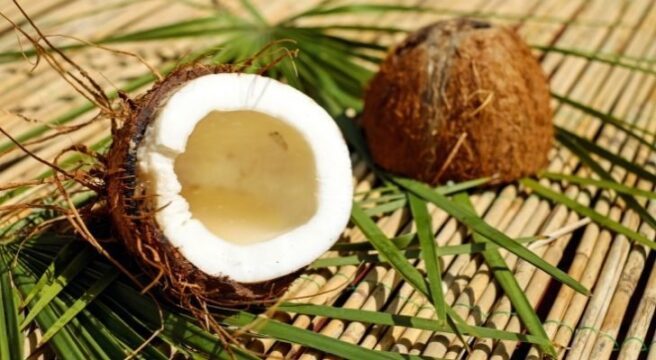 24 Captivating Facts About Coconuts - The Fact Site