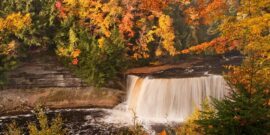 Why Do The British Say "Autumn" Instead of "Fall"? - The Fact Site