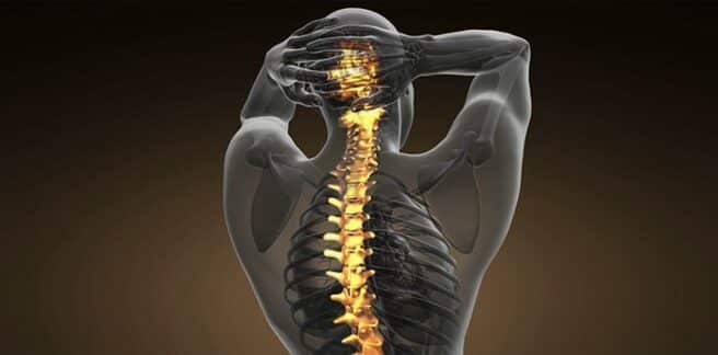 7 Flaws of the Human Body - The Fact Site