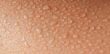 7 Flaws of the Human Body - The Fact Site