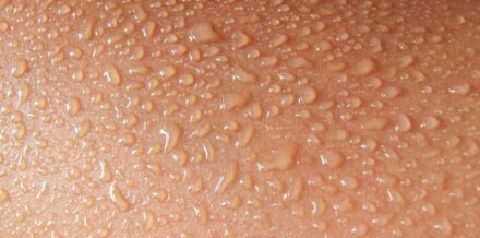 7 Flaws of the Human Body - The Fact Site