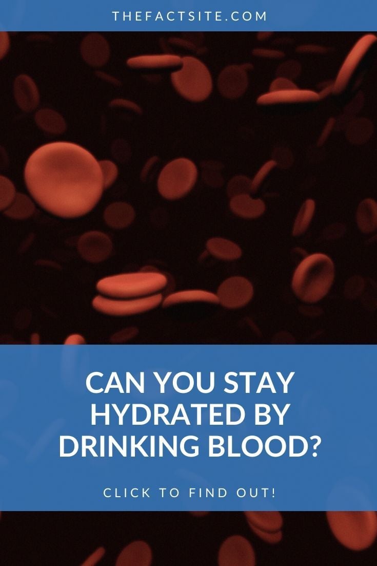 Can You Stay Hydrated By Drinking Blood? - The Fact Site
